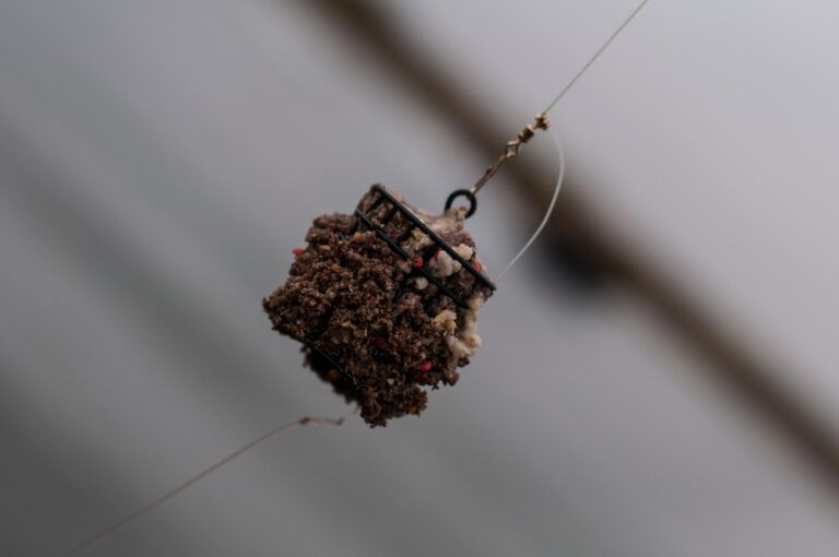 What is Feeder Fishing? - Learn the Basics
